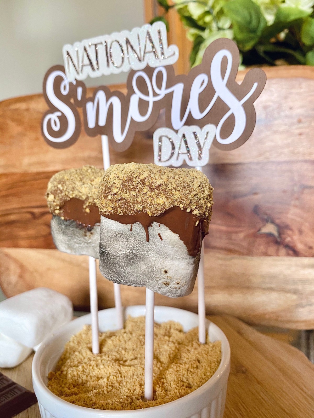 National S’Mores Day 2020 Deals and Recipes - Newsweek