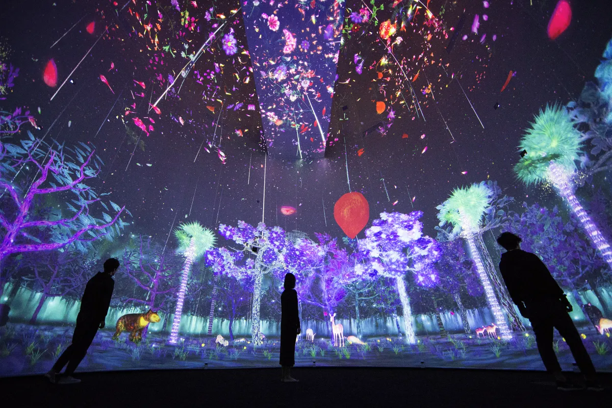 Most Interesting Immersive Art Experiences Around the World - Newsweek