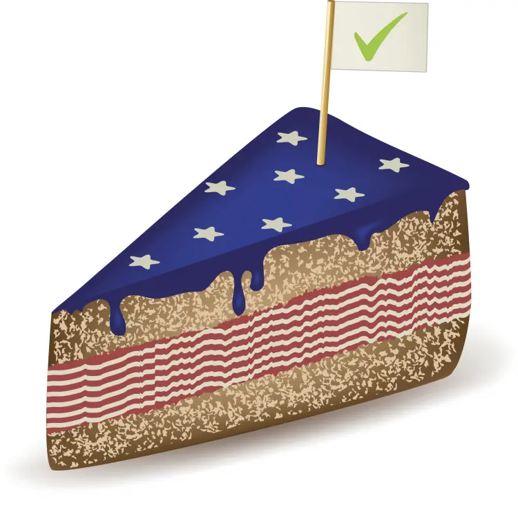 Election Day Cake: The Perfectly Odd Dessert for Today - Newsweek