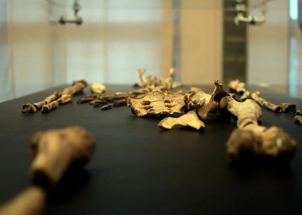 50 of the Greatest Archaeological Discoveries of All Time - Newsweek