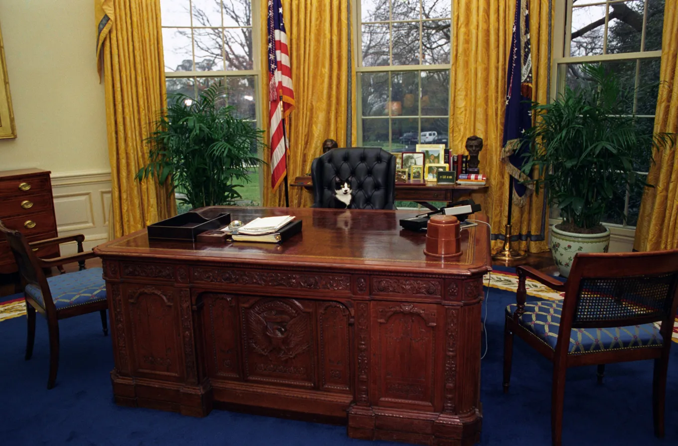 These Are the Presidents Who Had Cats in the White House - Newsweek