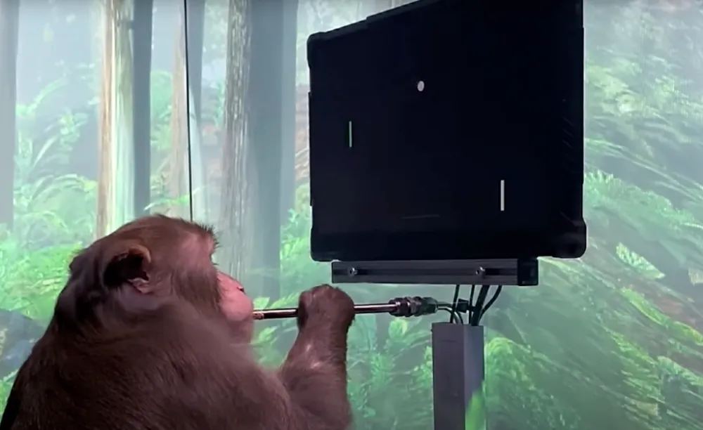 Elon Musk Shares Neuralink Video of Monkey Telepathically Playing Video ...
