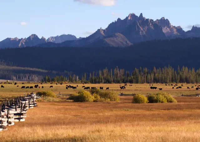 These Are the 50 Most Rural Counties in America - Newsweek