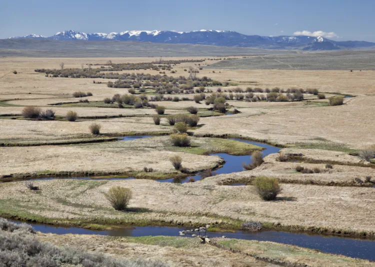 These Are the 50 Most Rural Counties in America - Newsweek