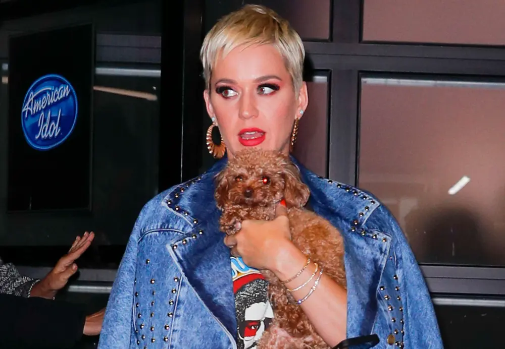 20 of the Most Photographed Celebrity Pets - Newsweek