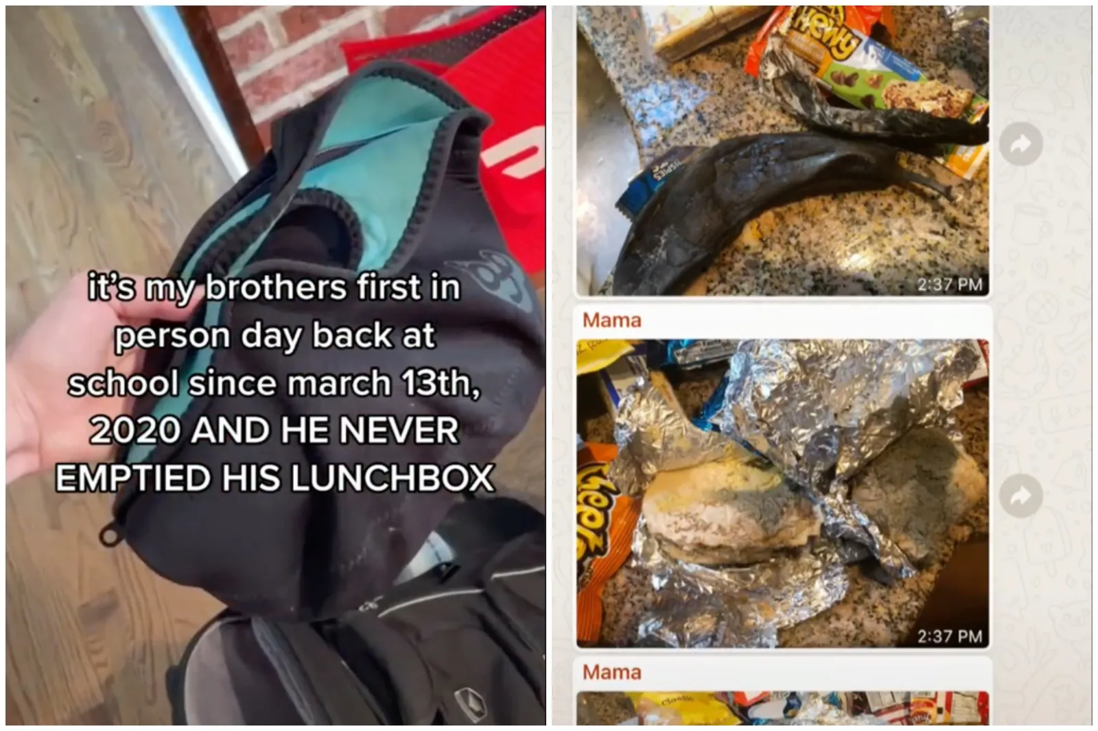 TikToker Shares the Contents of Teen Brother’s Untouched Lunchbox from ...