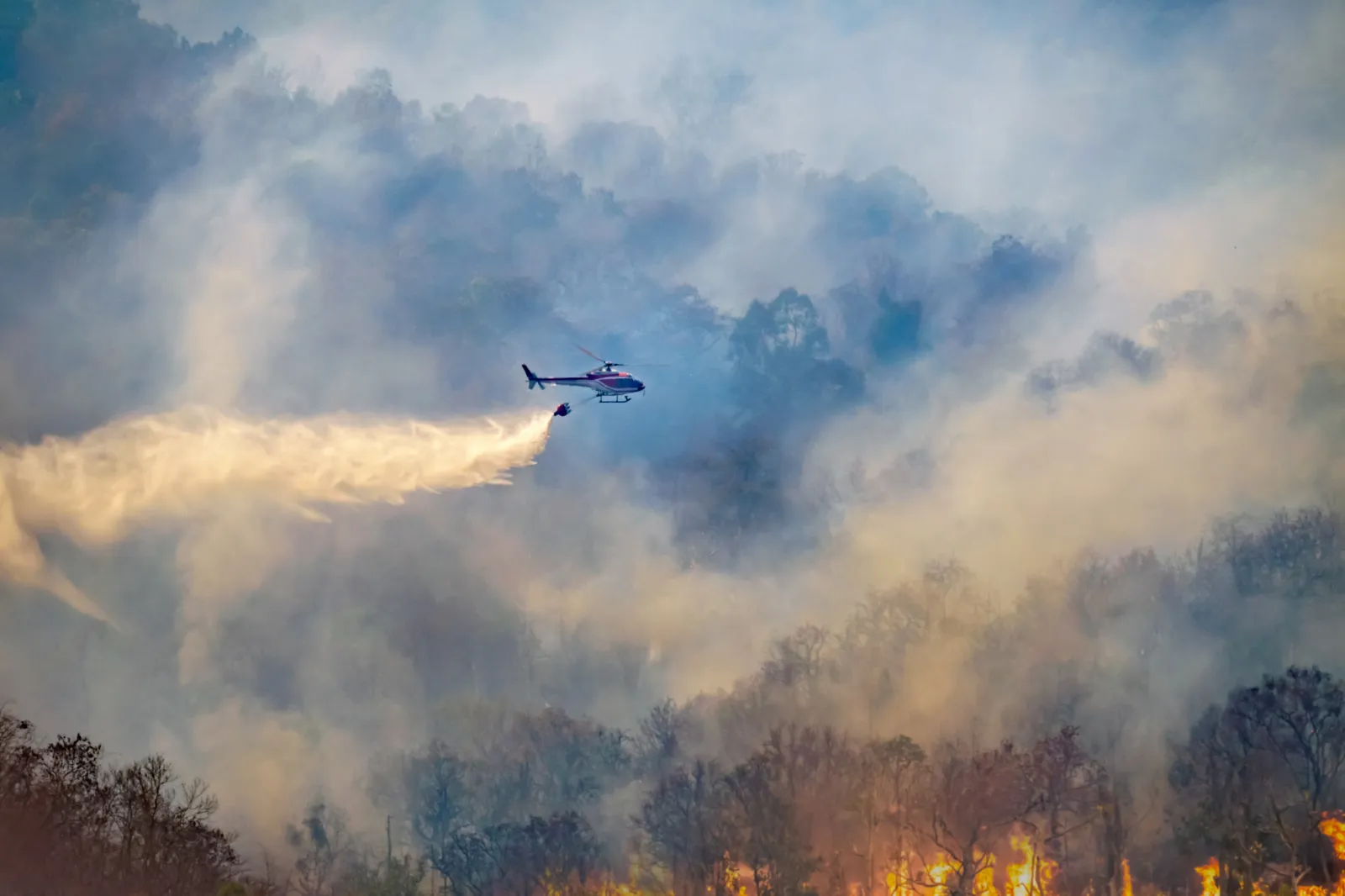 Telegraph Fire Latest Updates: Over 91K Acres Burned, Evacuations ...