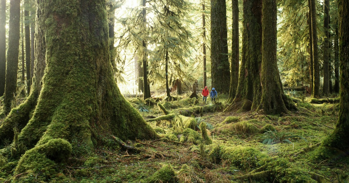 One Man’s Quest to Save the Last Quiet Places on the Planet - Newsweek