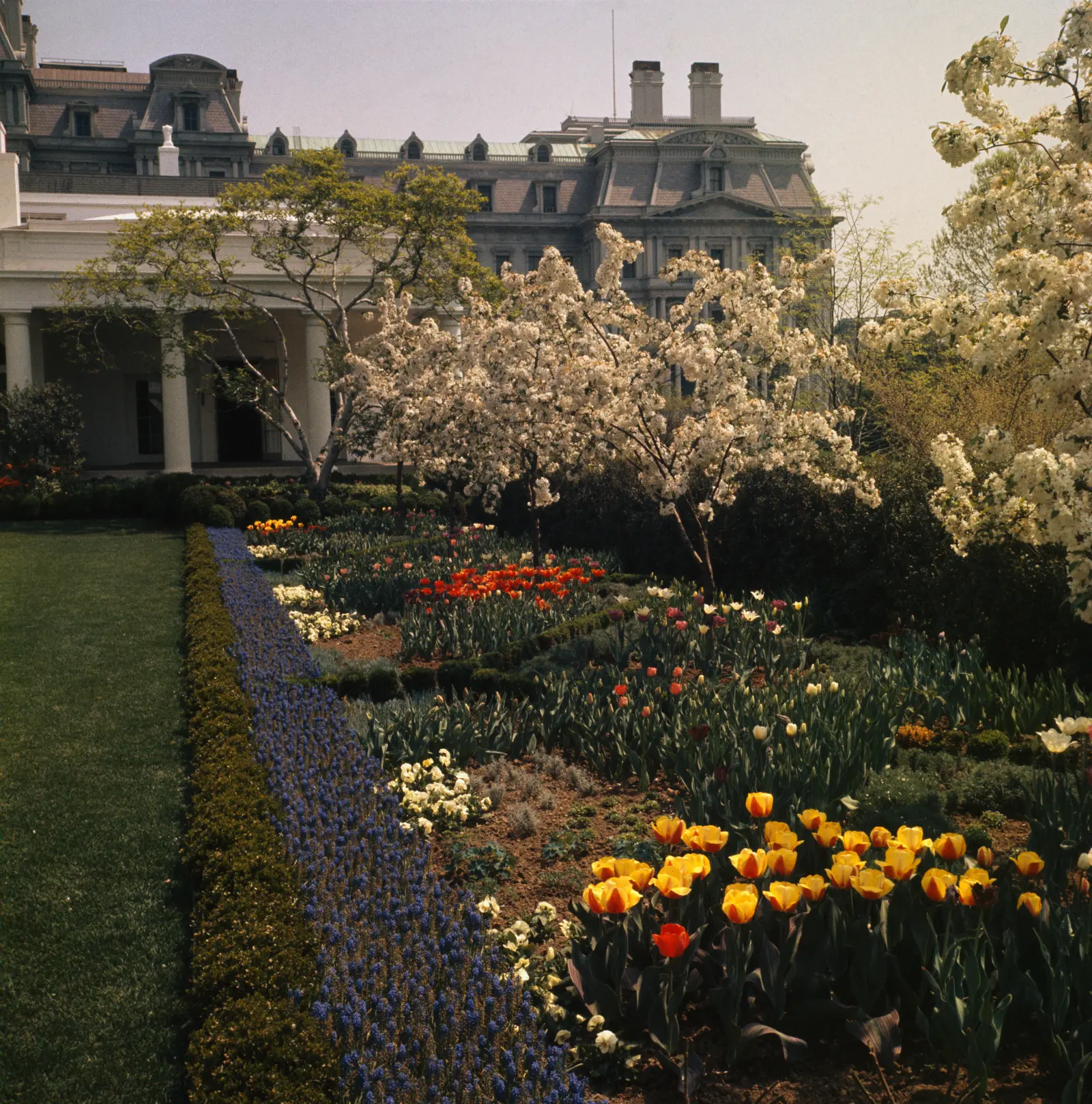 White House Rose Garden Over 60 Years—Pictures From 1961 ... - Newsweek