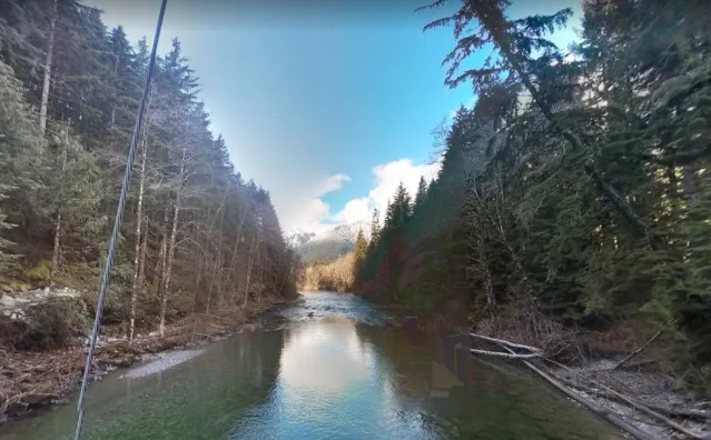 Missing Man Found Alive in Wilderness After 8 Days, Survived on Berries ...