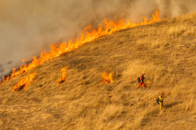 Vista Fire Update As California Blaze Sparks Evacuations - Newsweek