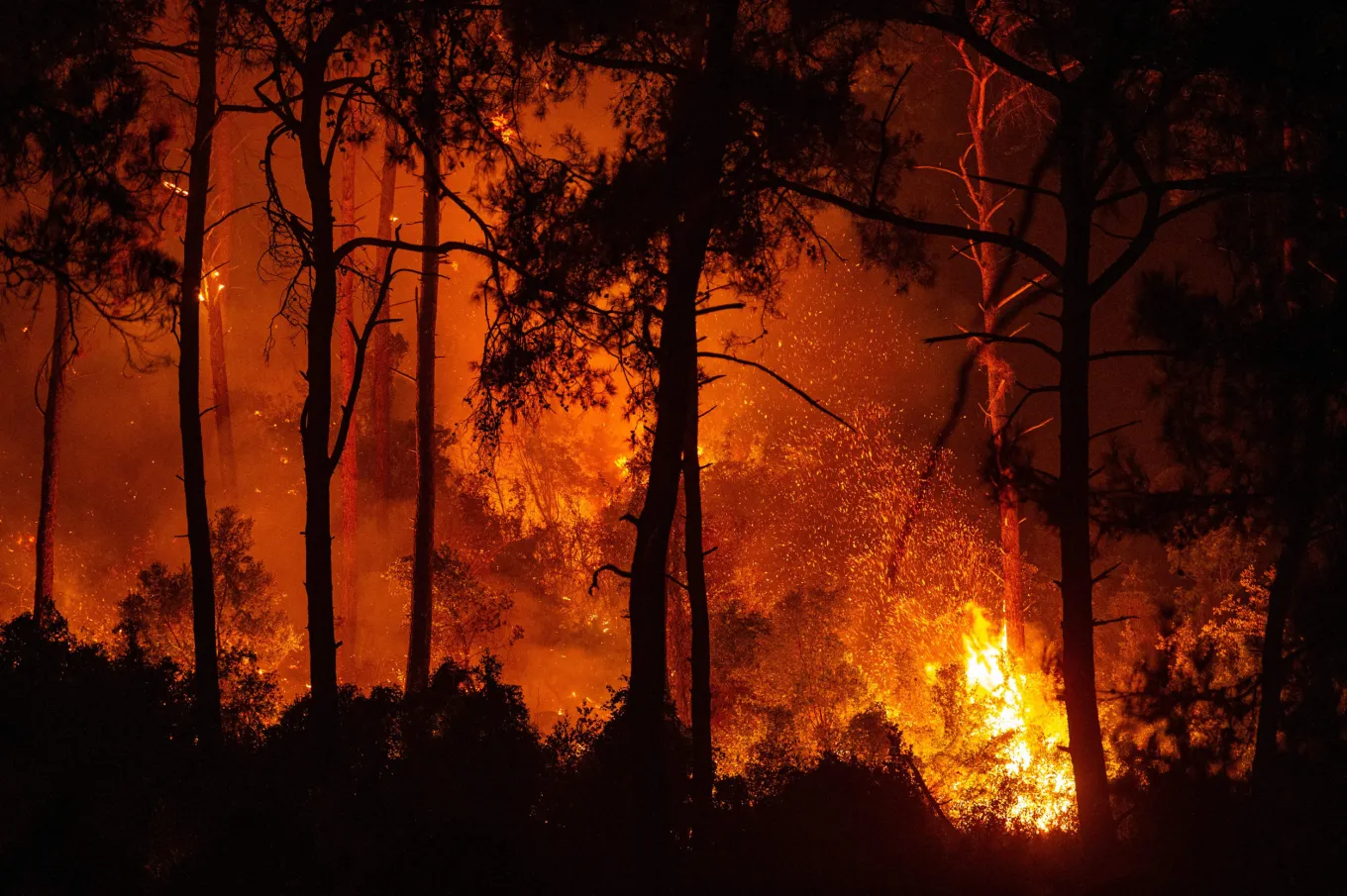 105 Wildfires Burn Across 35 Towns in Turkey as Devastating Blazes ...