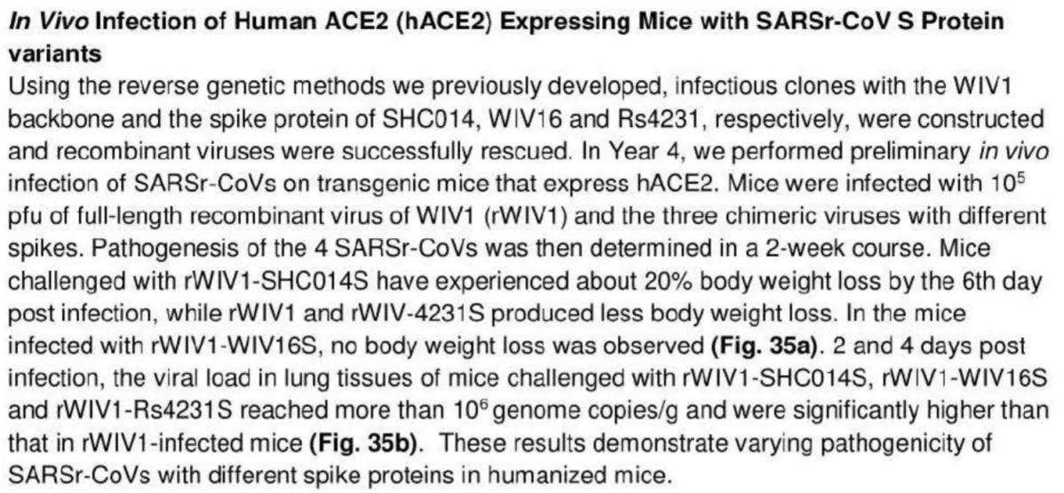 Fauci Was ‘Untruthful’ to Congress About Wuhan Lab Research, New ...