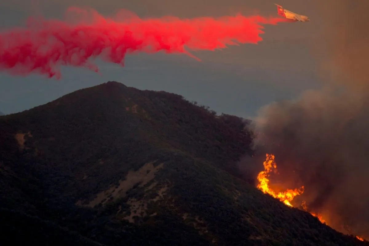 What is a ‘Red Flag Warning’? Weather Caution Meaning Explained - Newsweek