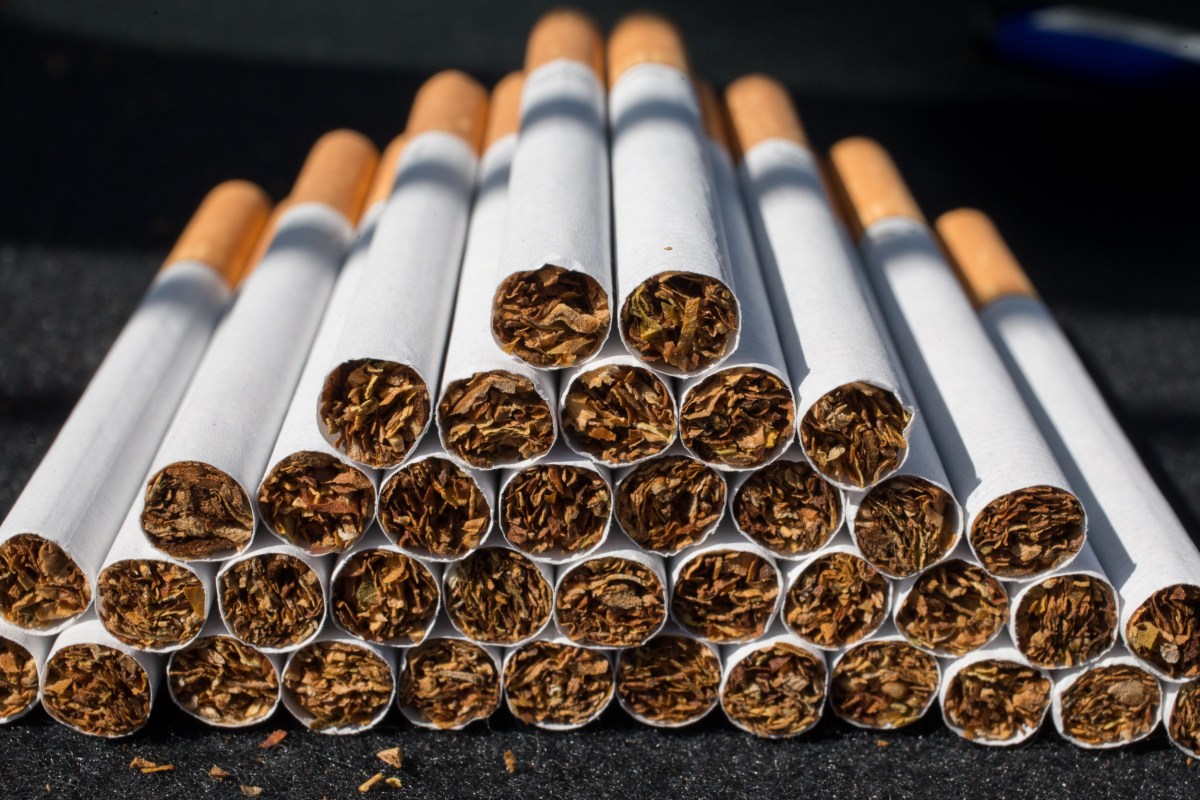 Humans Have Been Using Tobacco for Over 12,000 Years Says New Study ...