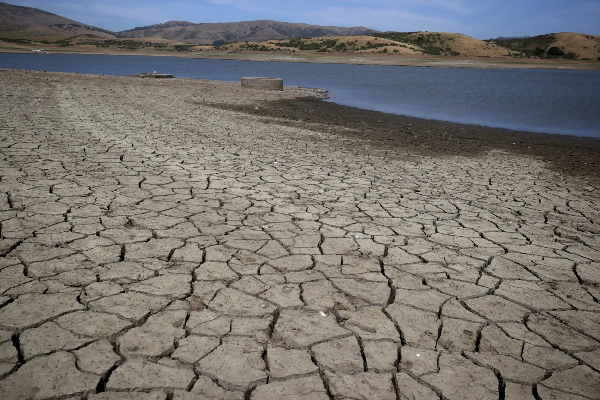 California Records Driest Year Since 1924 Amid Extreme Heat, Fires and ...