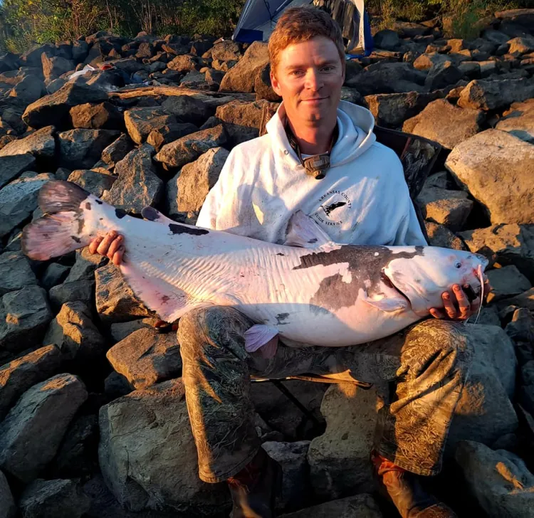 Missouri Man Catches Highly Rare Catfish With Strange Markings: ‘Holy ...