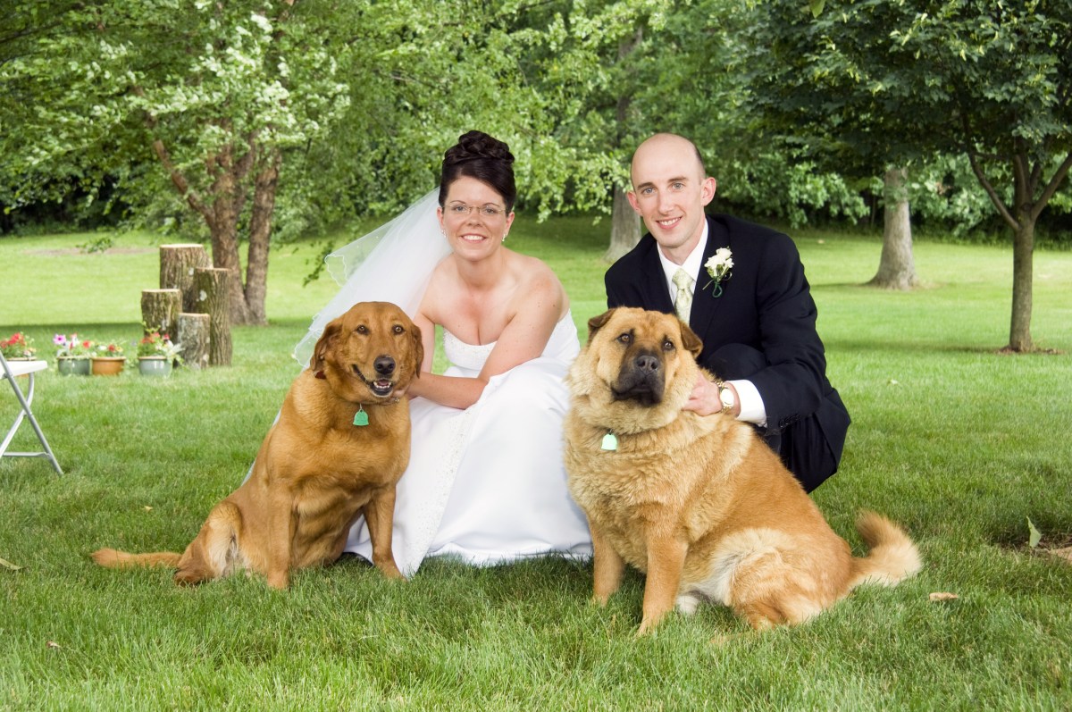 Bride Poses With Her Dog for ‘First Look’ Wedding Photos: ‘A Moment ...