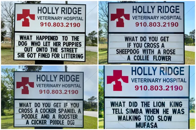 Vet’s Hilarious Weekly Signs Featuring ‘Corny’ Pet Jokes Applauded ...