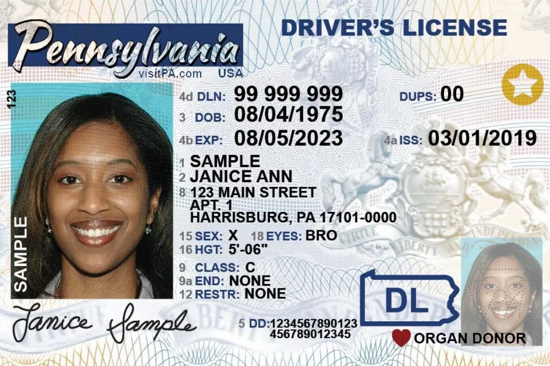 Non-Binary, Gender X Driver’s Licenses, Passports Gaining Popularity ...