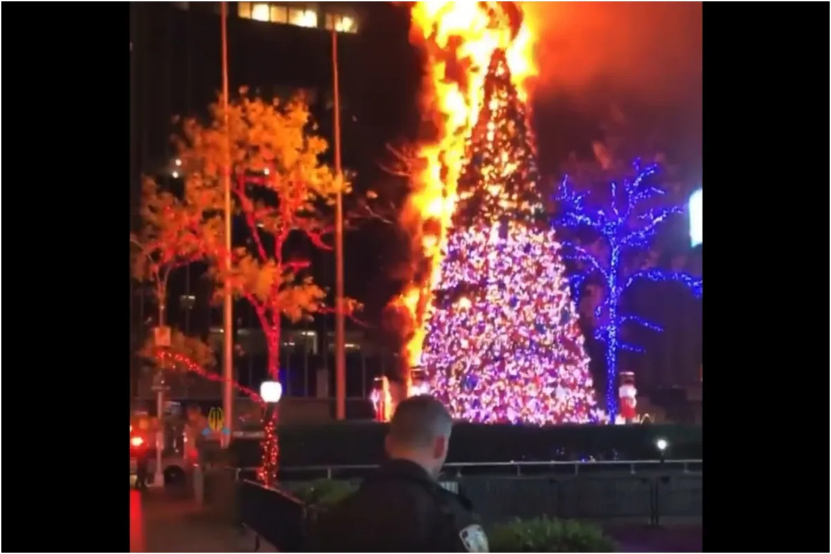 How Fox News Reacted to Their Own Christmas Tree Catching Fire - Newsweek
