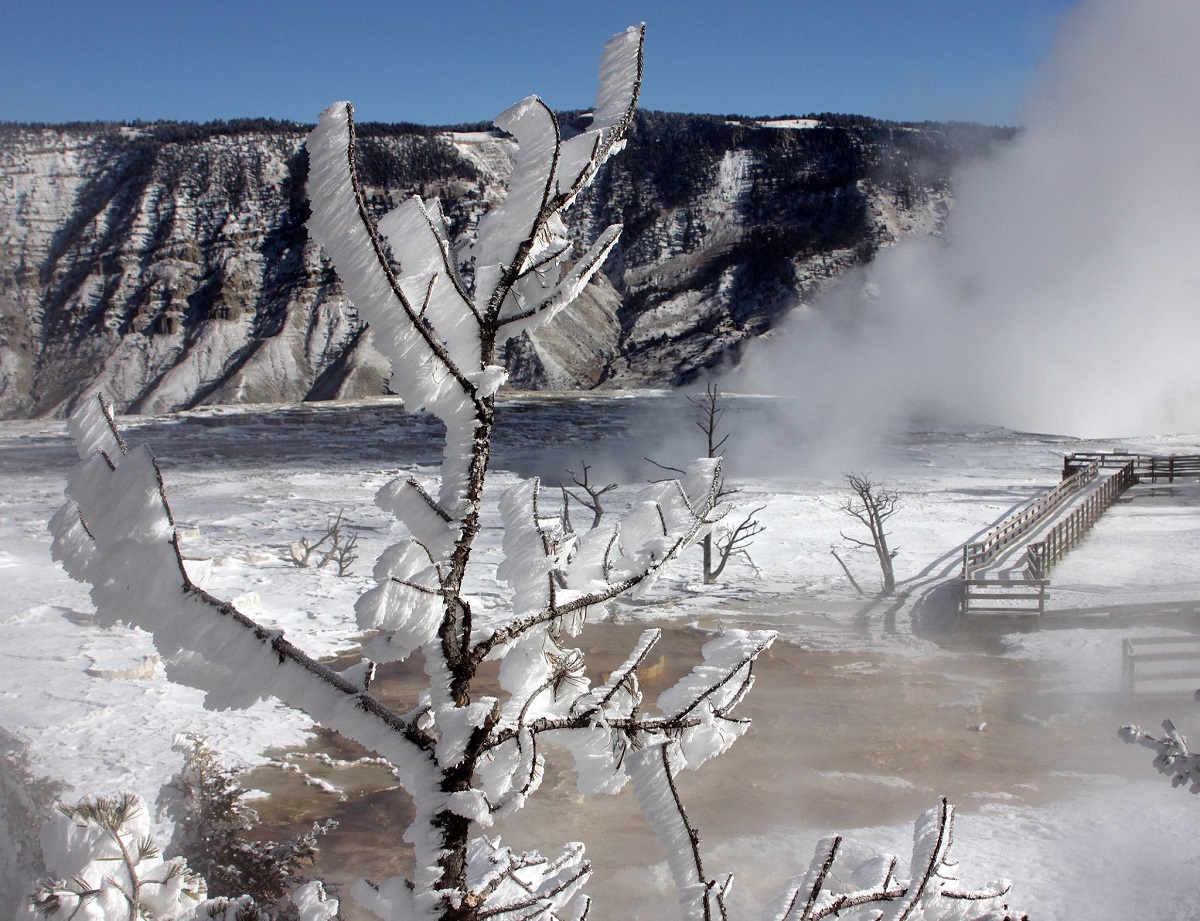 Bizarre Ice Formations Pictured Near Yellowstone’s Hot Springs - Newsweek