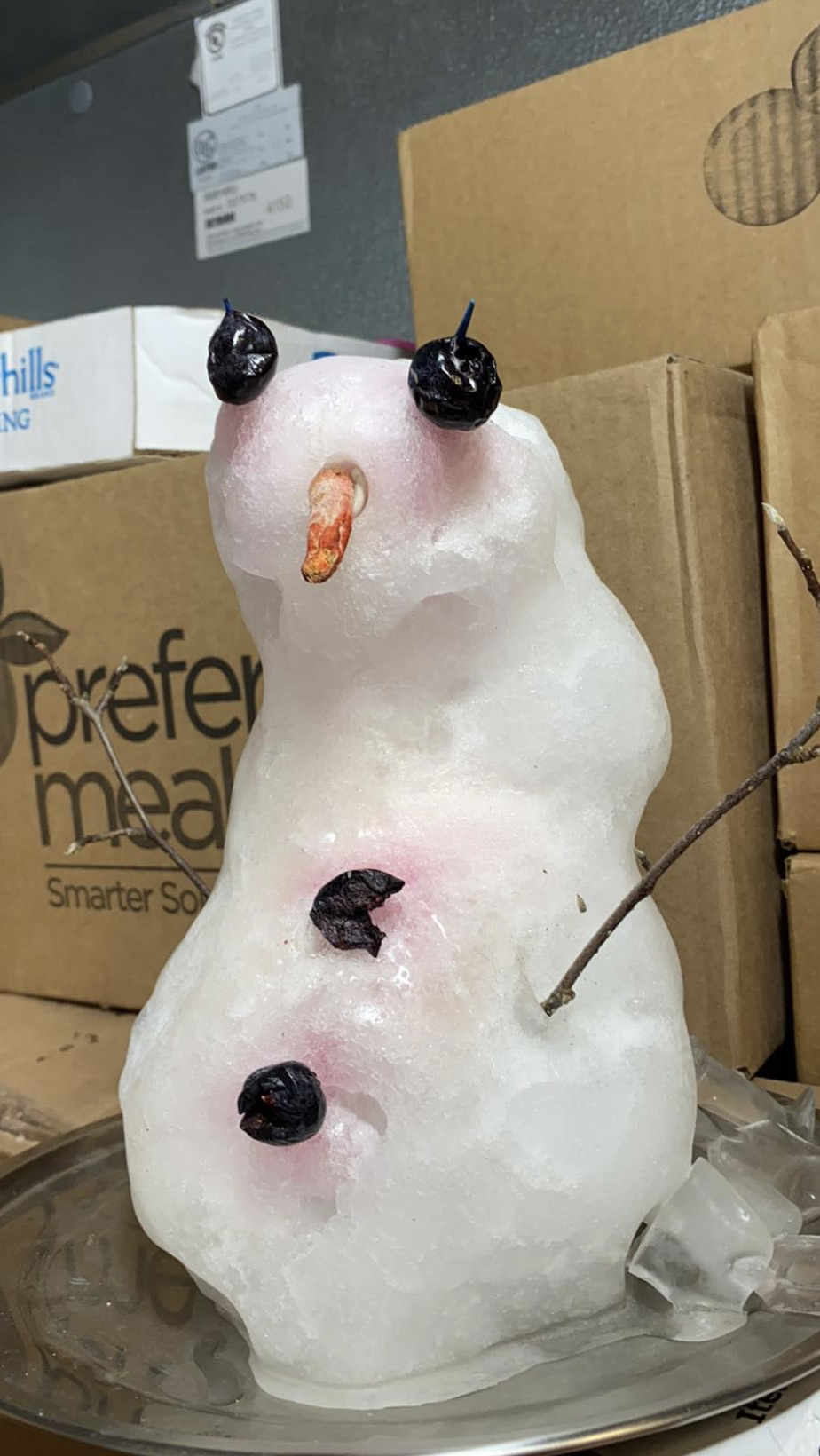 Snowman Traveled Hundreds of Miles to Visit Students Who Never Saw Snow ...