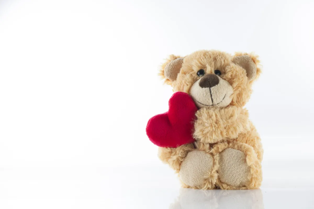Missing Teddy Bear Reunited With Owner Thanks To Viral Social Media ...