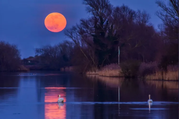 How to Photograph the Full Snow Moon With a Phone - Newsweek