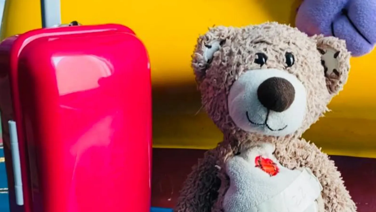 Missing Teddy Bear Reunited With Owner Thanks To Viral Social Media ...