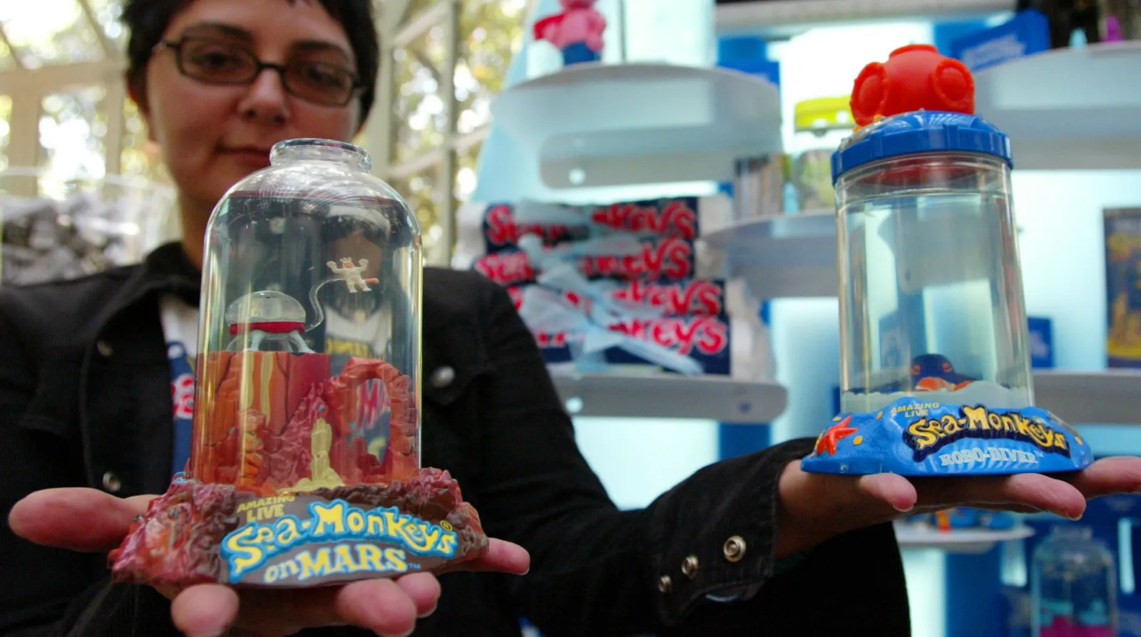 Sea Monkeys: What Are They, How Long Do They Live and What Do They Look ...