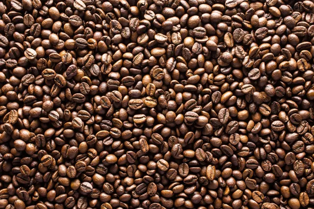 Starbucks Barista Orders 110 Pounds of Coffee by Mistake in Viral Clip ...