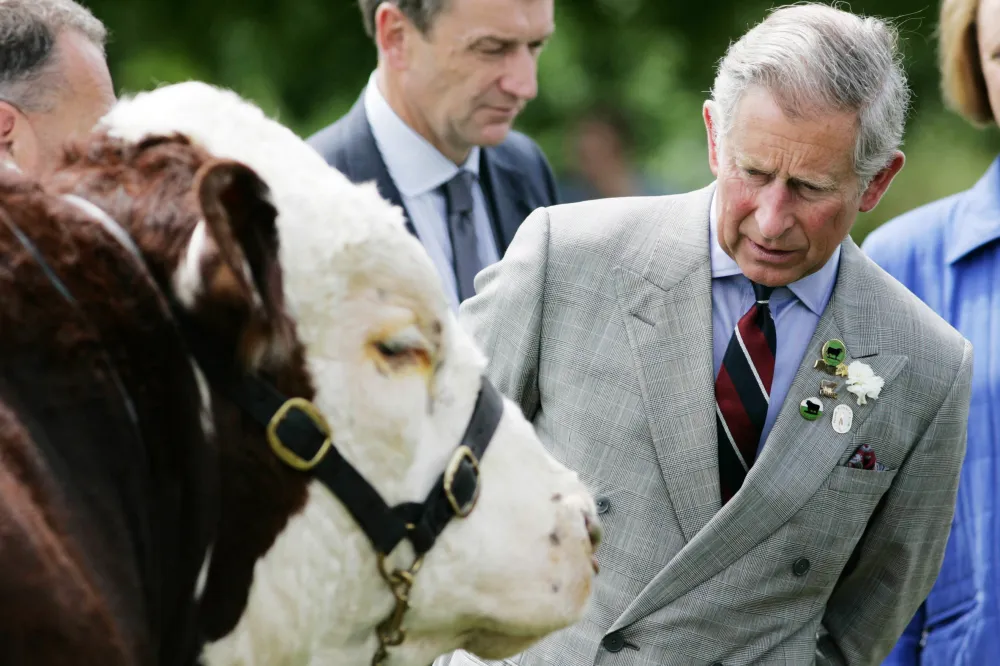 Prince Charles Mocked For Backing ‘Crazy’ Climate Change Face Mask For ...