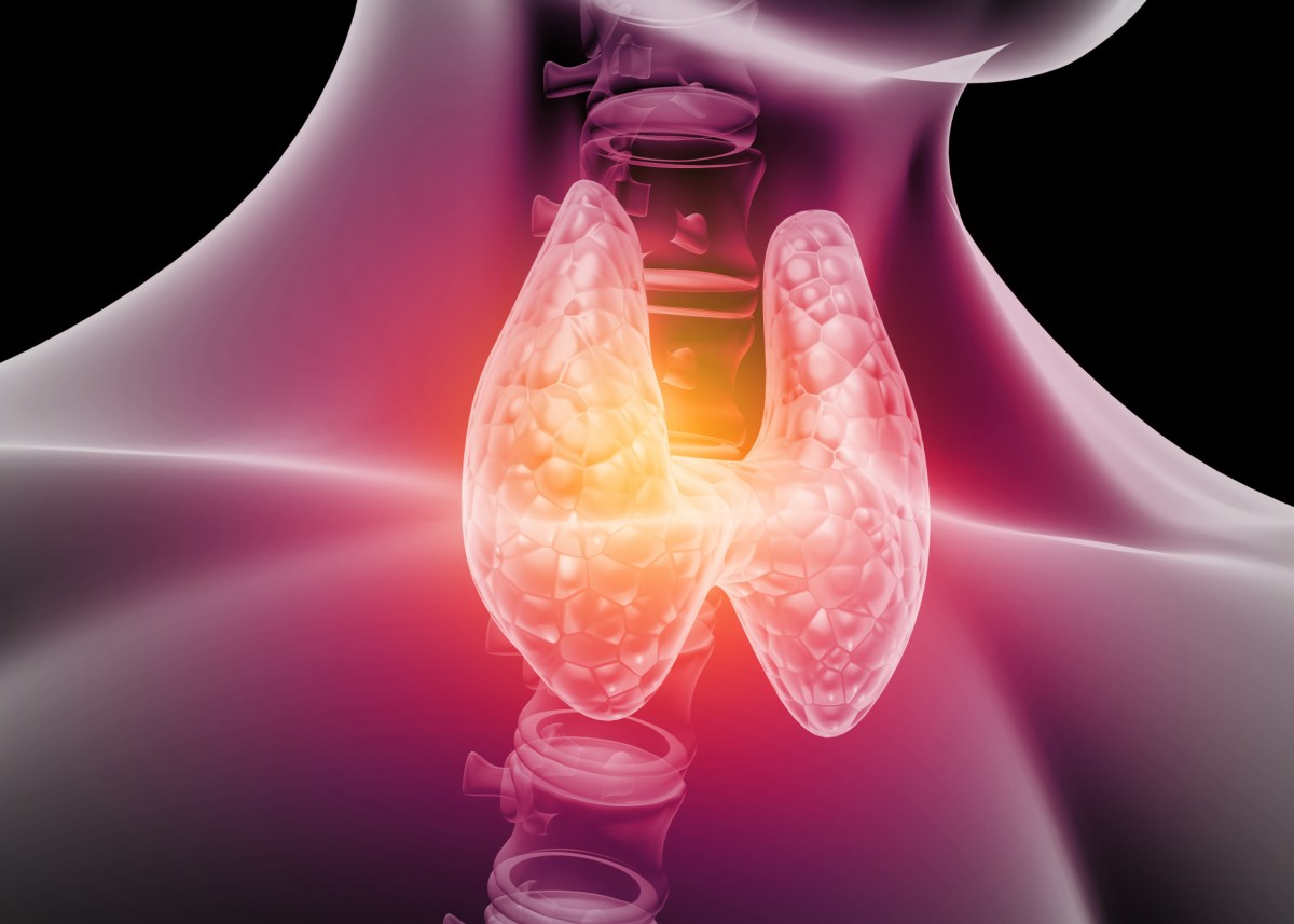 Early Warning Signs of Thyroid Problems and When You Should See a ...