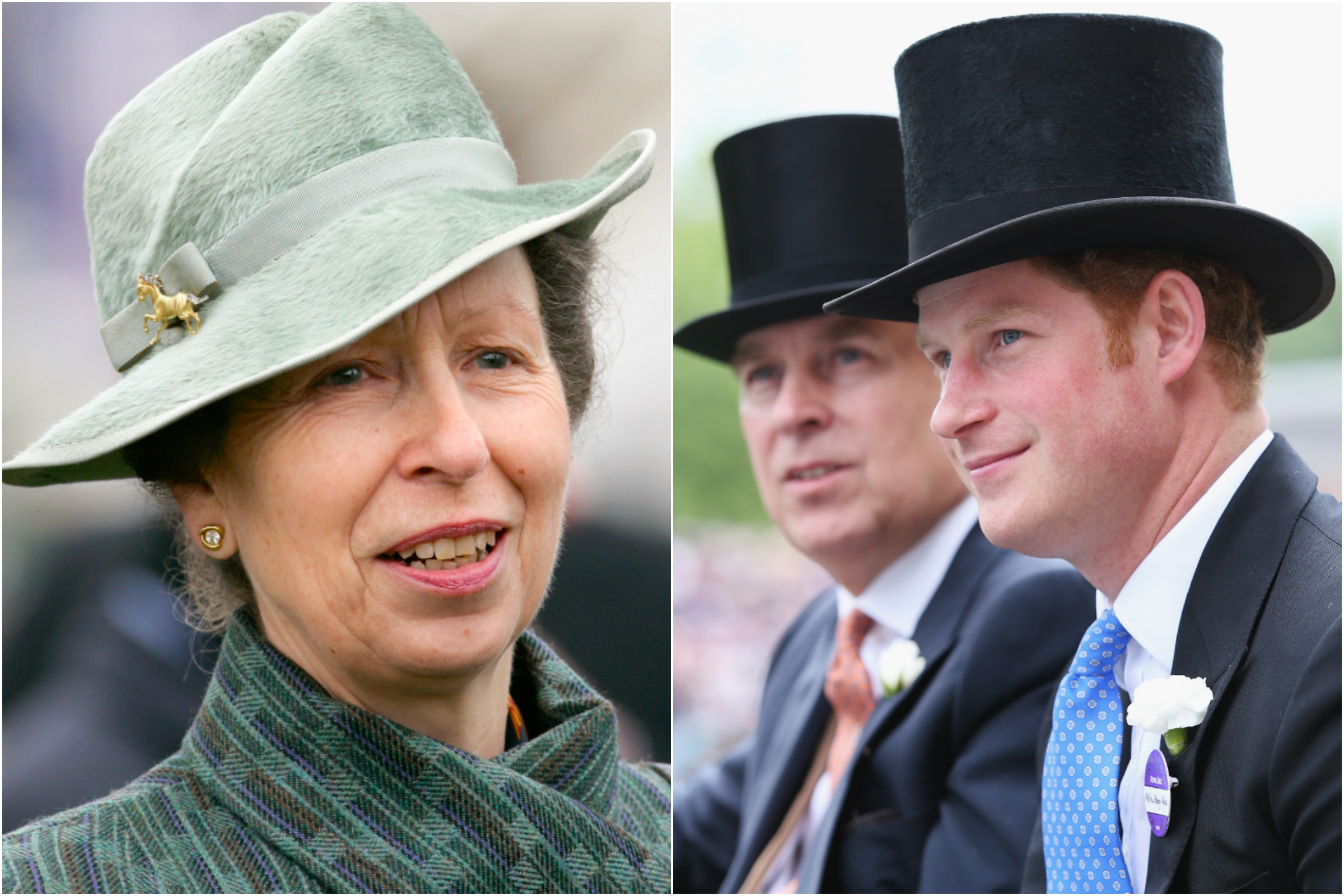 Princess Anne REVEALS The Truth About Andrew & Harry In Queen's Last ...