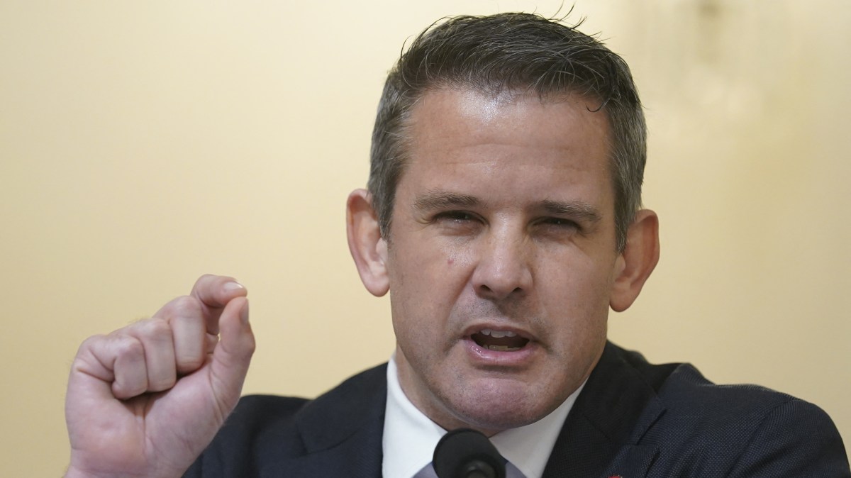 Kinzinger Warns Replacement Theory ‘Getting People Killed,’ Blasts ...