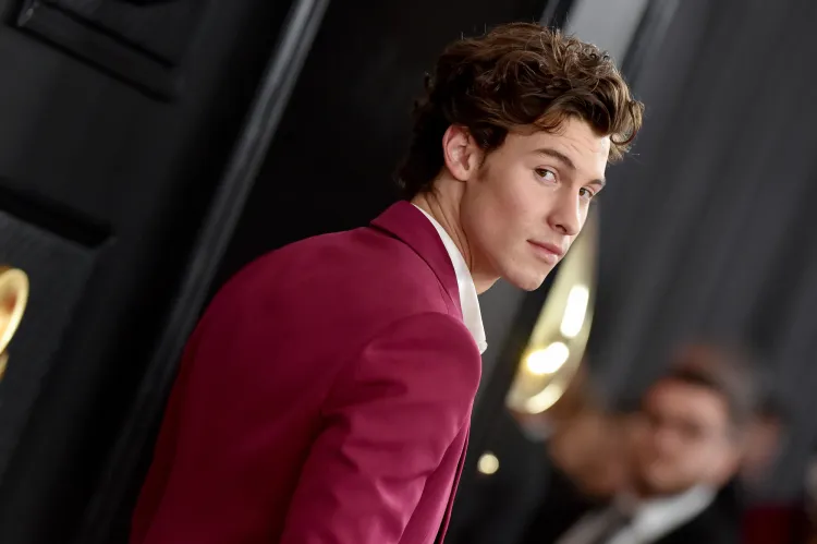 Shawn Mendes to Protest Guns at Wango Tango Fest Named for Ted Nugent ...
