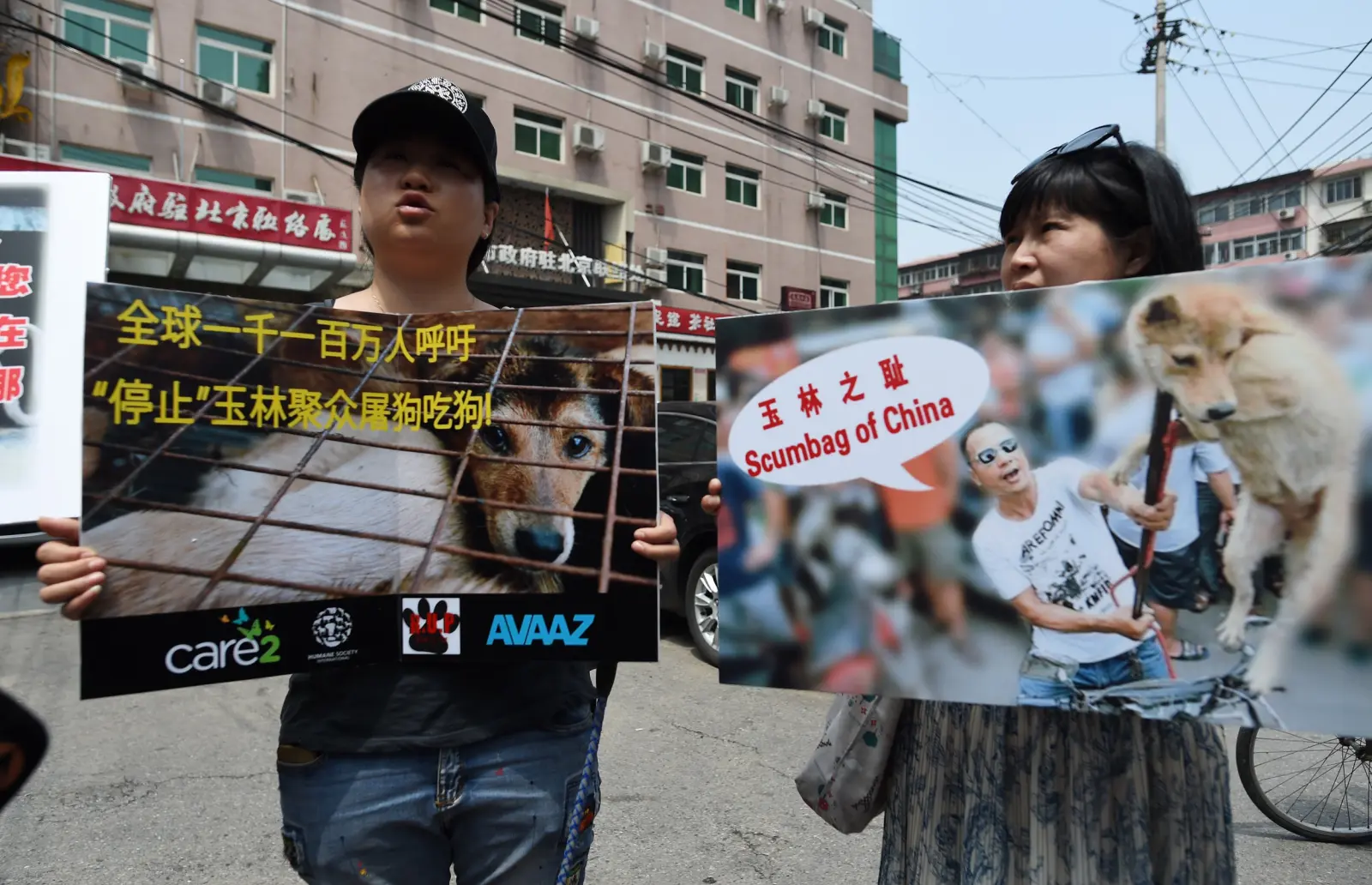 Pictures From Yulin Dog Meat Festival Show Heartbreaking Cruelty of ...