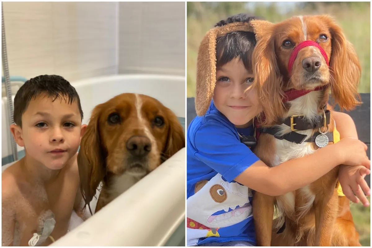 Autistic 5-Year-Old Boy’s Life Gets Transformed By His Remarkable Dog ...