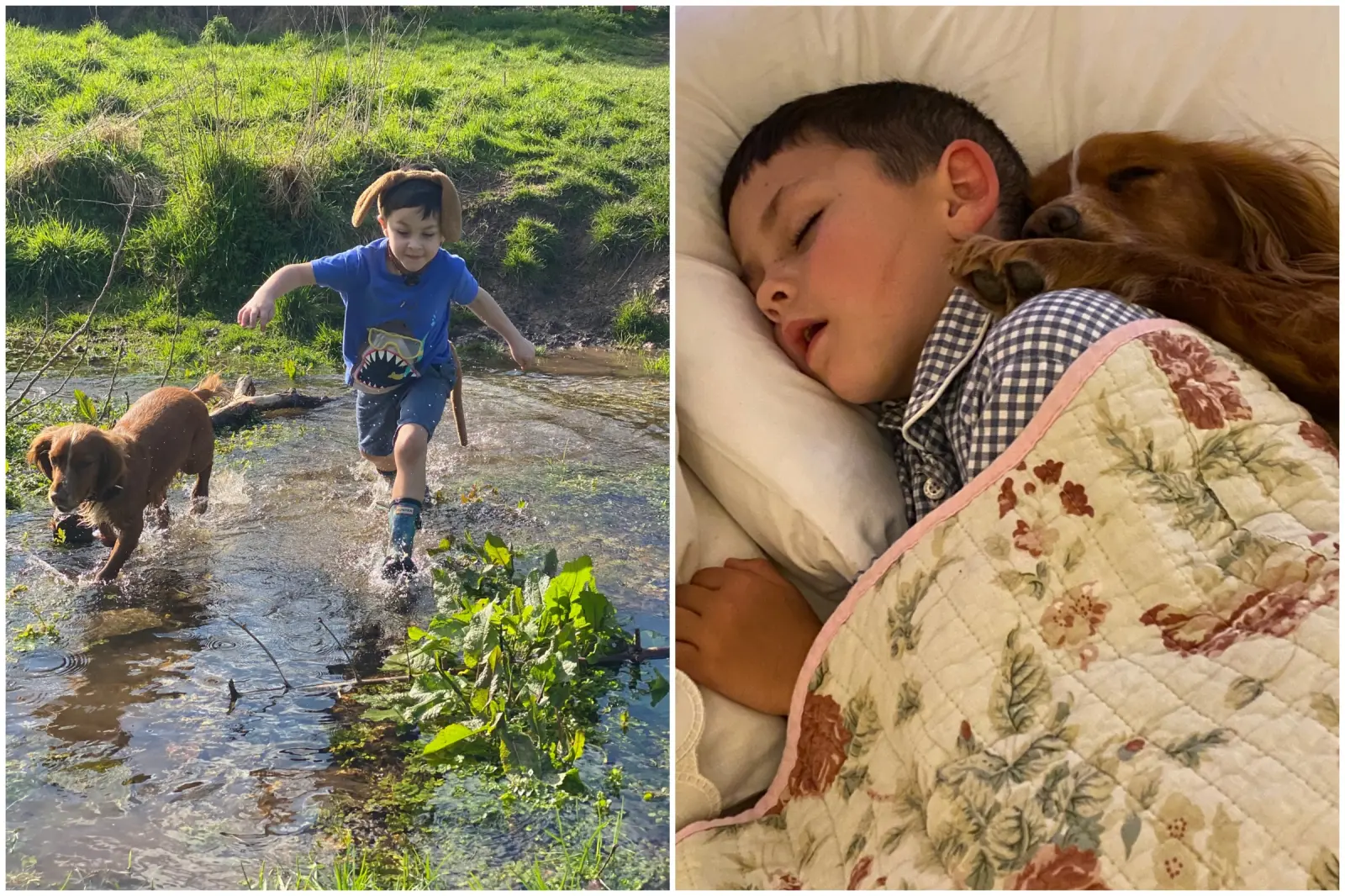 Autistic 5-Year-Old Boy’s Life Gets Transformed By His Re... - Newsweek
