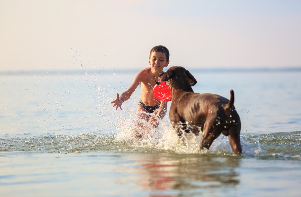 Rare ‘Brain-Eating Amoeba’ Infects Swimmer; Forces Beach Closure - Newsweek