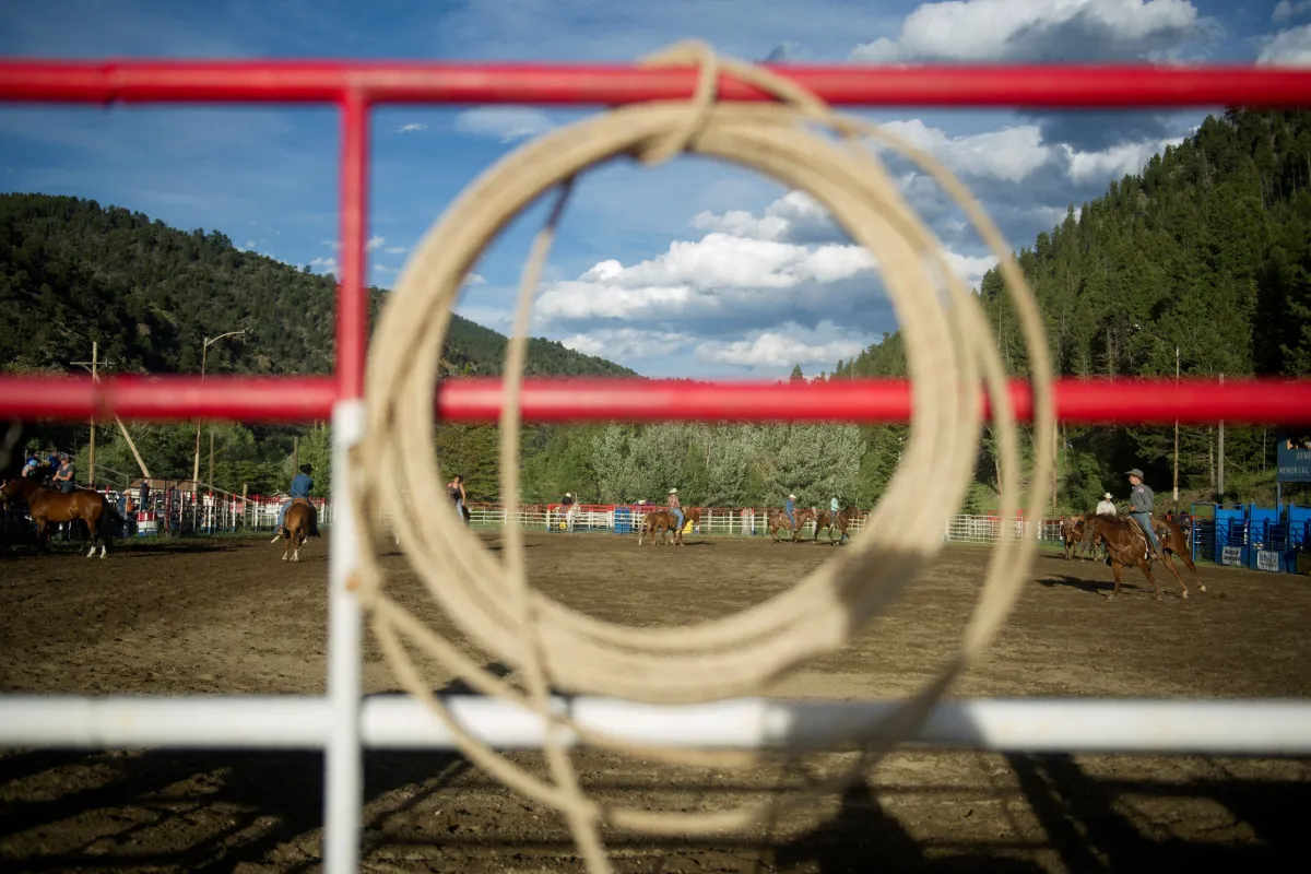 Woman Dies in Rodeo Event Accident After Horse Plows Through Gate ...