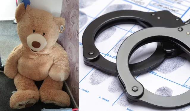 ‘Stuffed Behind Bars’: Police Found Alleged Car Thief Hiding in Teddy ...