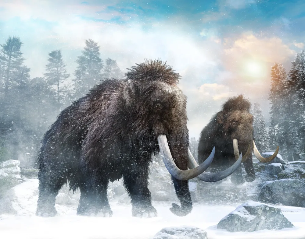 The Man Who Wants To Release Thousands of Wooly Mammoths Into the ...