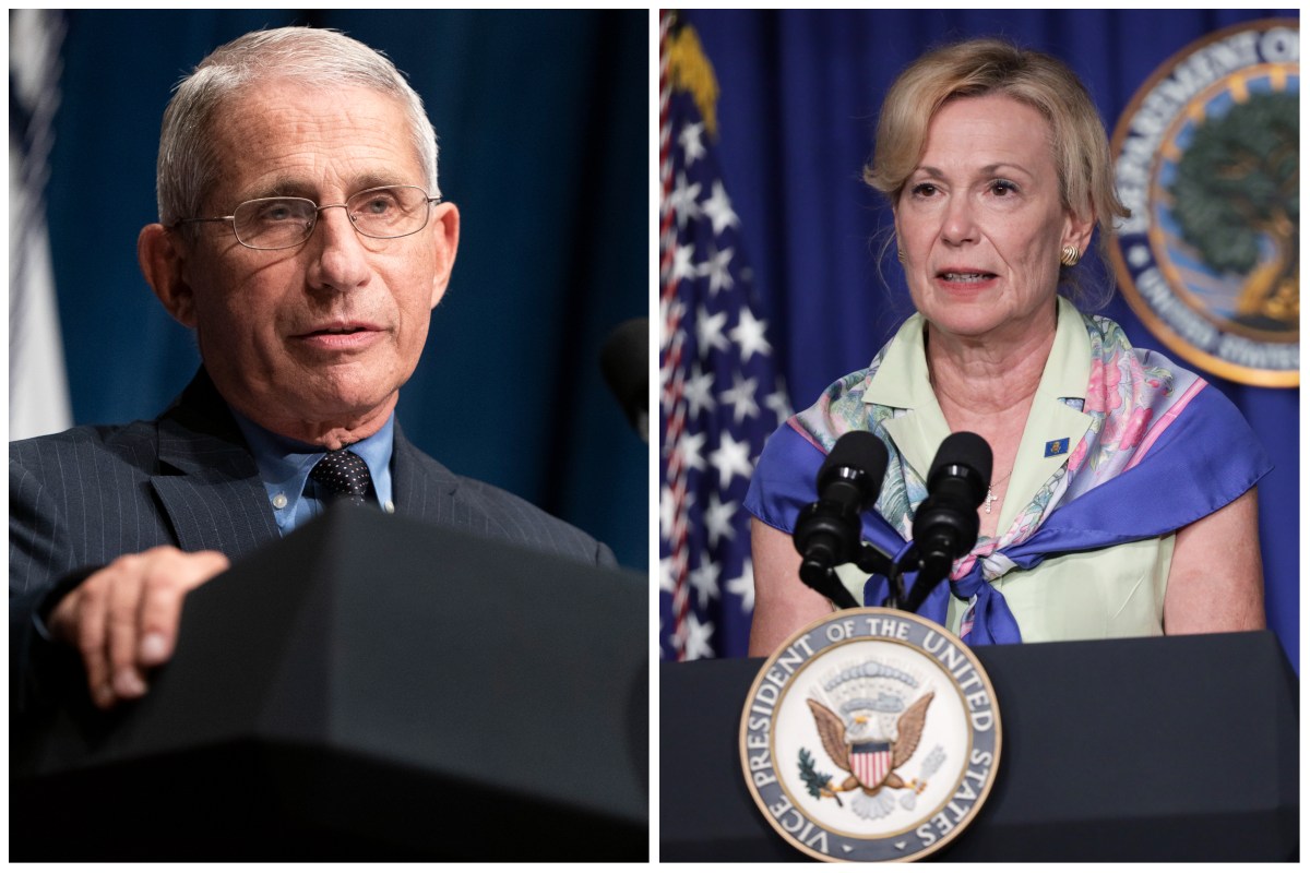 Eight Ways Dr. Fauci, Deborah Birx Want To Reform the CDC - Newsweek