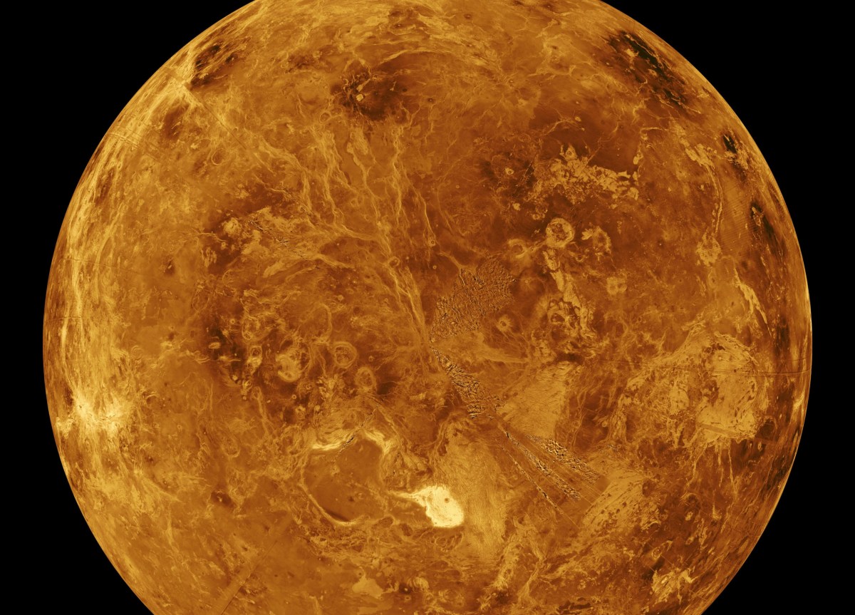 Fact Check: Does Viral Post Really Show ‘Clearest Image of Venus ...
