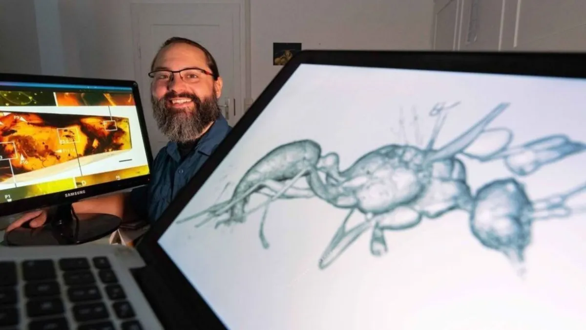 Scientists Discover 20-Million-Year-Old Ant Species in Amber - Newsweek
