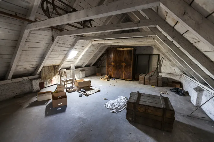 Woman Shocked to Find Hidden Room With Skylight Behind Board in ...