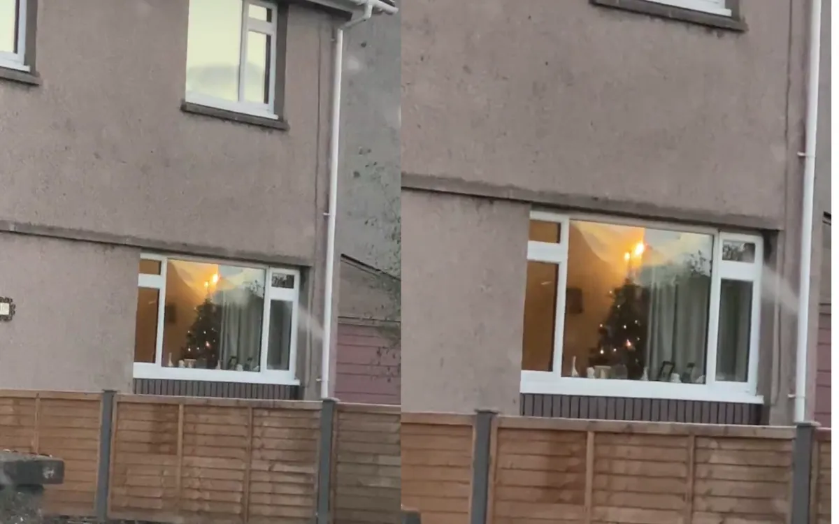 Christmas Tree Spotted Inside House in September Shocks Driver - Newsweek