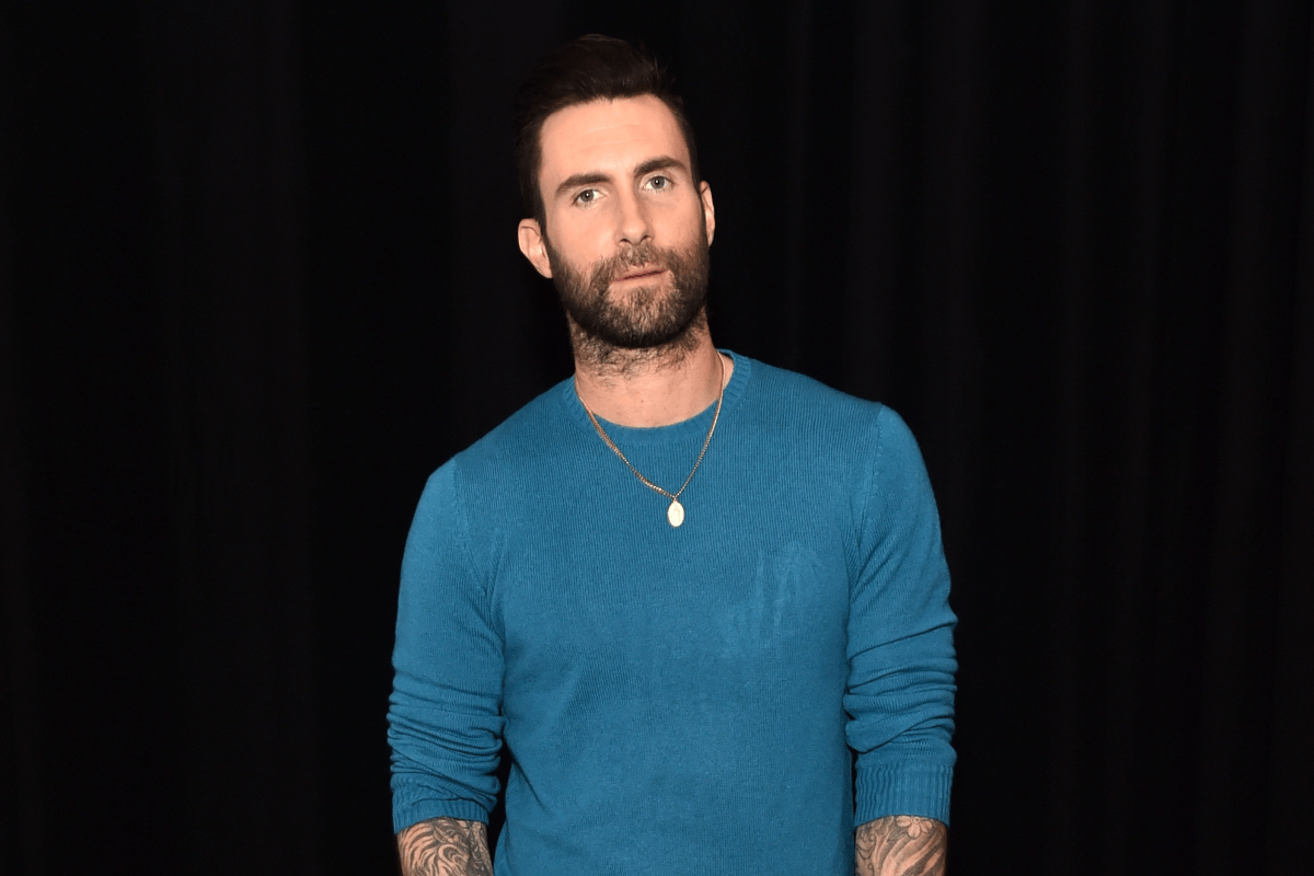Sumner Stroh’s Instagram Followers Soar Amid Adam Levine DM Allegations ...